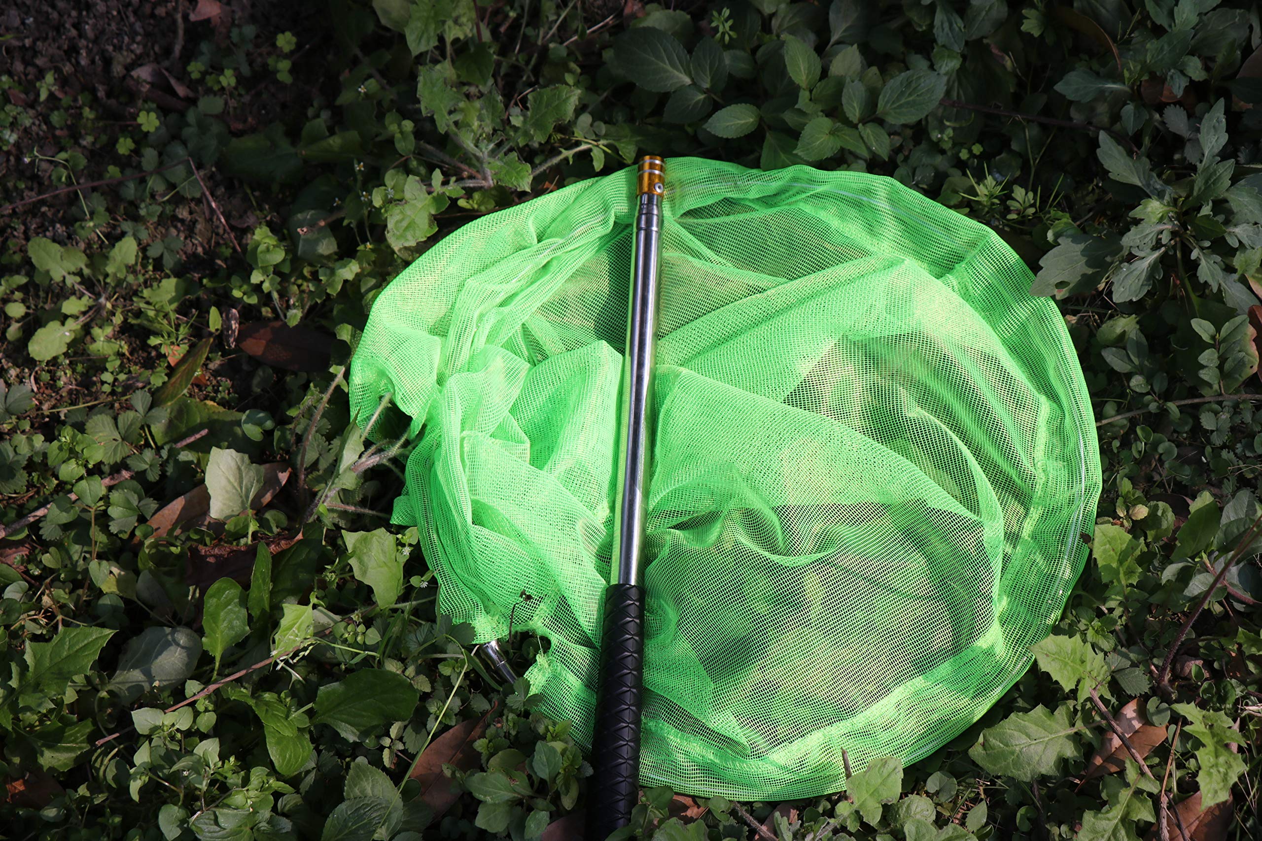 RESTCLOUD Bait Net and Fishing Landing Net with Telescoping Pole Handle Extends to 59 inches (Green)