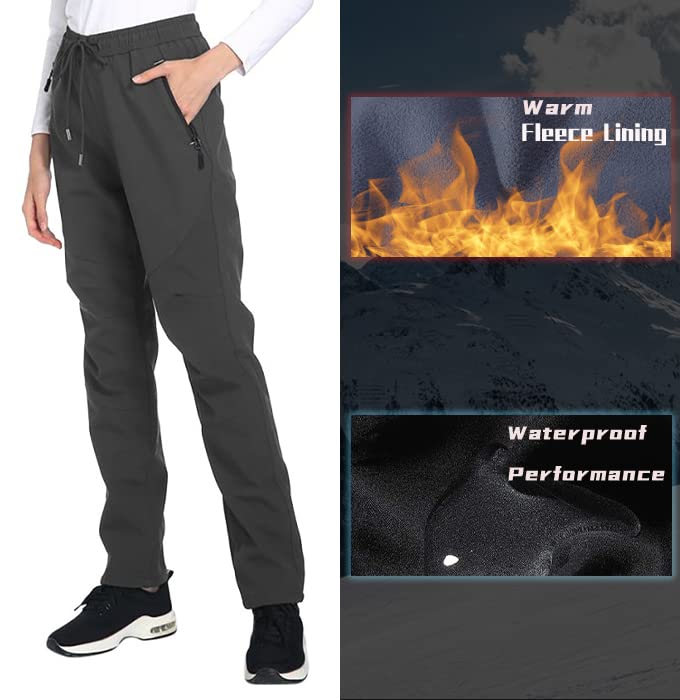 Womens Snow Ski Pants Waterproof Windproof Fleece Lined Warm Hiking Insulated Pants DarkGrey L