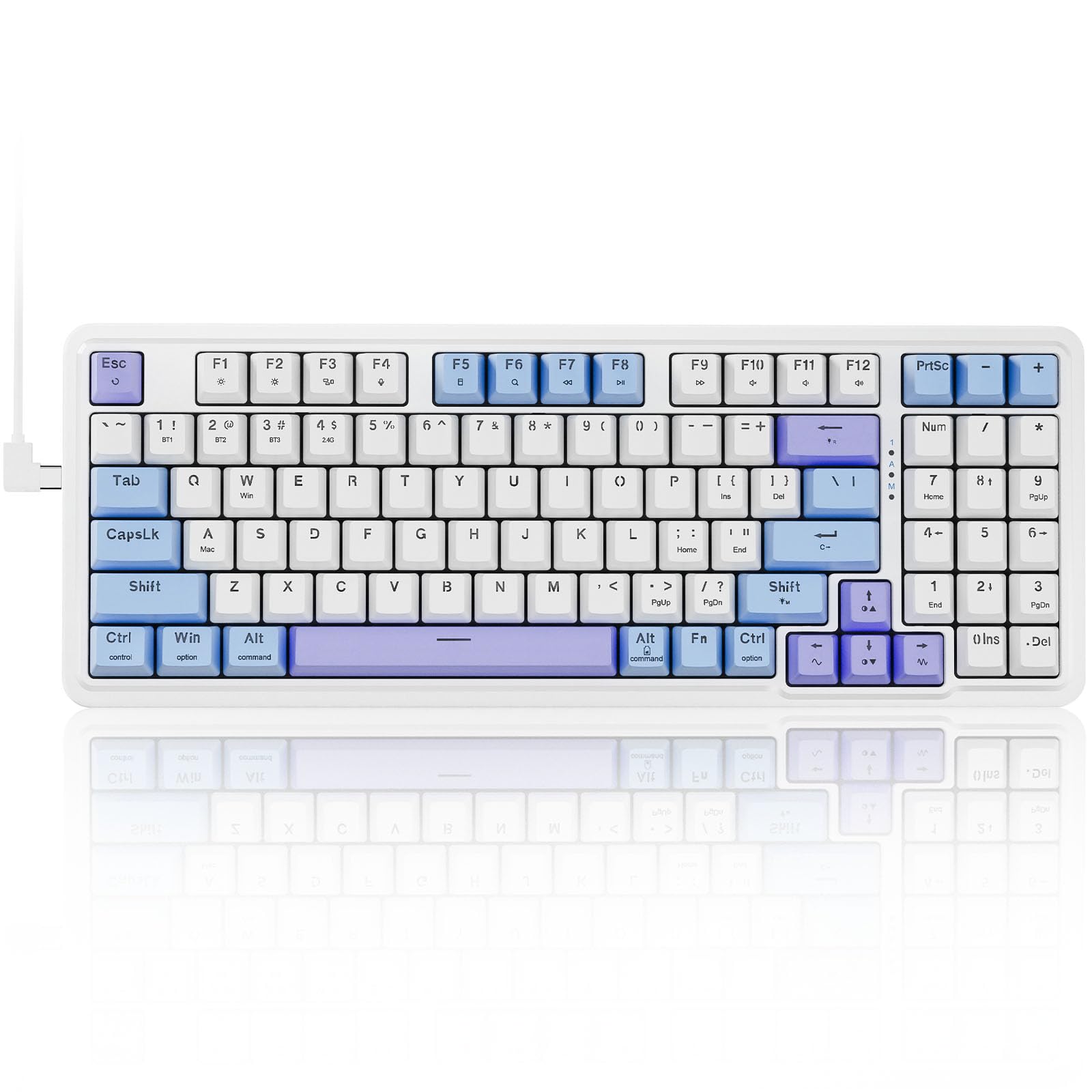 Redragon Wireless Mechanical Keyboard,Bluetooth 5.0/2.4GHz/USB-C Hot Swappable Custom Keyboard, Gasket Structure,RGB Backlit Gaming Keyboard Creamy Sound (White Purple)