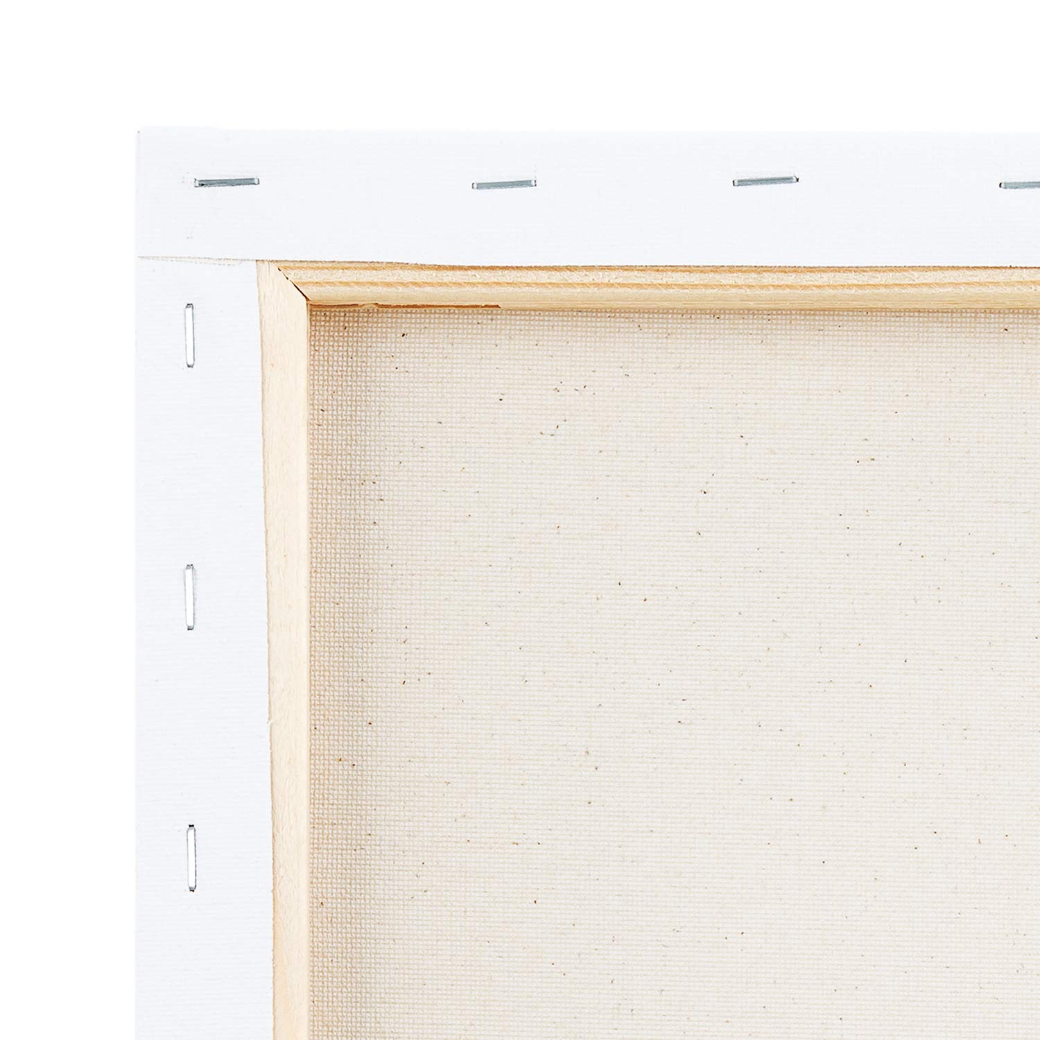 Premiere by Nicole 8 Pack Stretched Canvas for Painting,9x12|Bulk Value Pack Plain White Rectangular Canvases,Triple Acrylic Gesso Primed|Art Supplies for Acrylics,Oil Painting,DIY Wall Decor