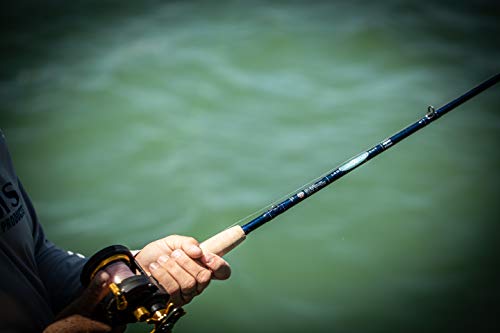 St. Croix Rods Legend Tournament Inshore Casting Rod
