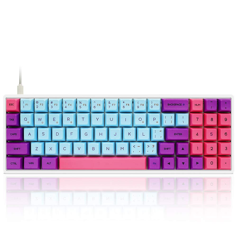 SK64 Joker Wired 70 Keys Multi Color RGB Illuminated LED Backlit Programmable with PBT Heat Sublimation Keycaps for PC/Mac Gamer(Joker Limited Edition, Gateron Optical Brown)