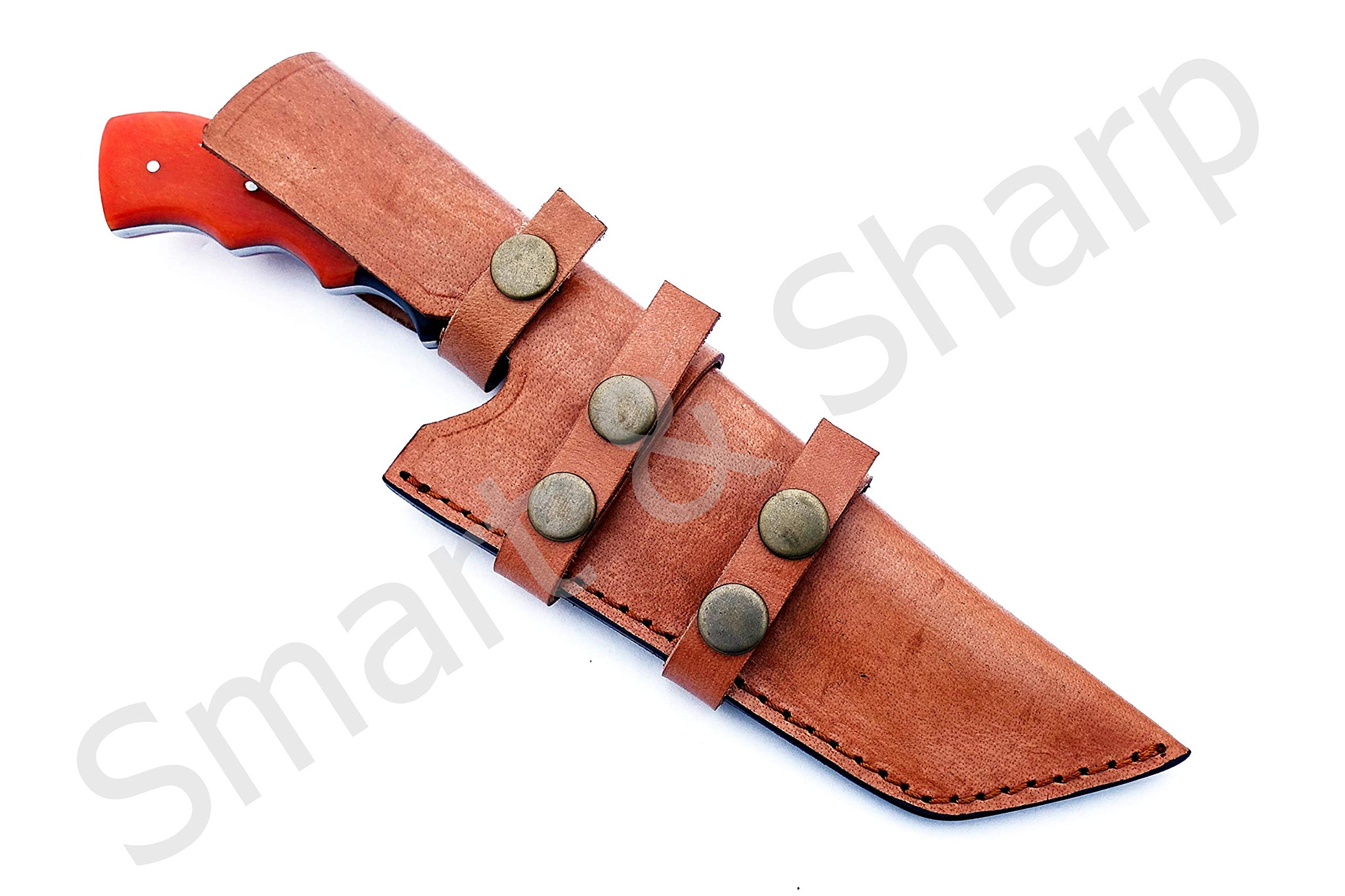 Smart & Sharp Custom Handmade Damascus Steel Hunting Knife/Bowie Knife AA-17129 (Colored Bone and Black Wood)