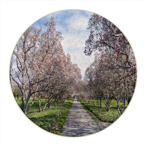 Round Chair Mat for Hard Floors Garden Path Heavy Duty Floor Protector Purple Anti-Slip Desk Mat Floor Mat for Office Chair 2 FT