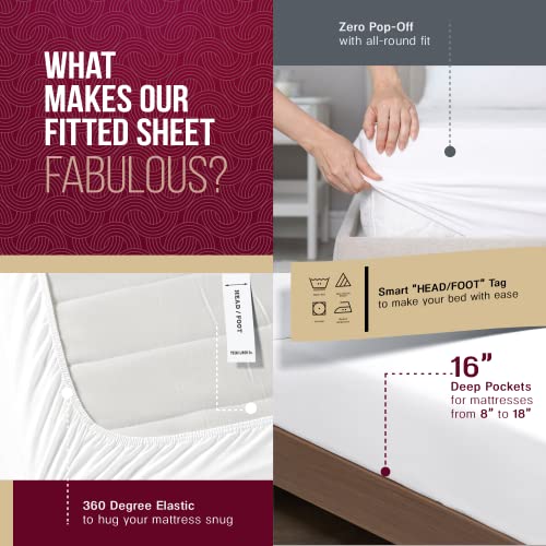 TEXAS LINEN CO. Egyptian Cotton Queen Sheet Set, 800 TC 4 PC Silver Grey Egyptian Cotton Sheets for Queen Size Bed, Extra Long Staple Cooling Sheets, Luxury Hotel Sheets, Deep Pocket Queen Sheets Set