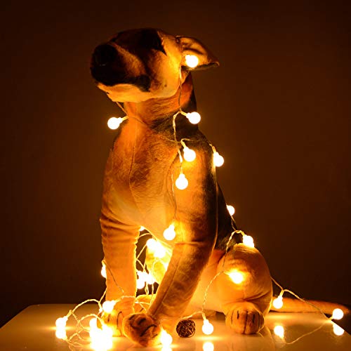 Yugust Globe String Lights, 17ft Battery Operated Remote Control Warm White LED Fairy Wall Lights with 8 Lighting Modes for Wedding Party Home Garden Decoration