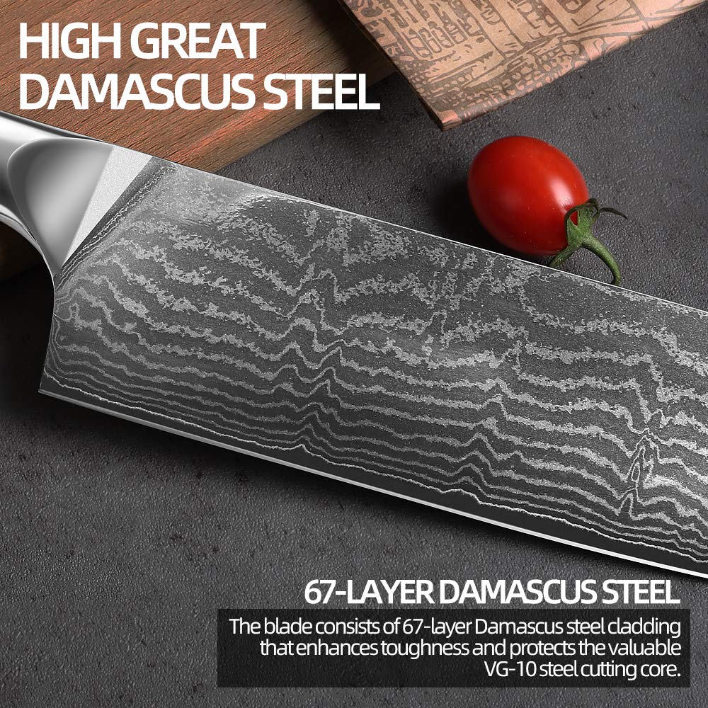 RuanQ Pro Chef Knife, 8 Inchs Kitchen Knife, German Special High Carbon Alloy Steel, Ergonomic Precious Rosewood Handle, Ultra Sharp