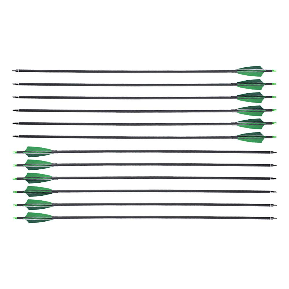 ZSHJGJR 6/12pcs 31" Archery Carbon Arrows Spine 500 Hunting Target Arrows with 4 inch Turkey Feather for Compound Recurve Bow Shooting Practice (Green, 12pcs)
