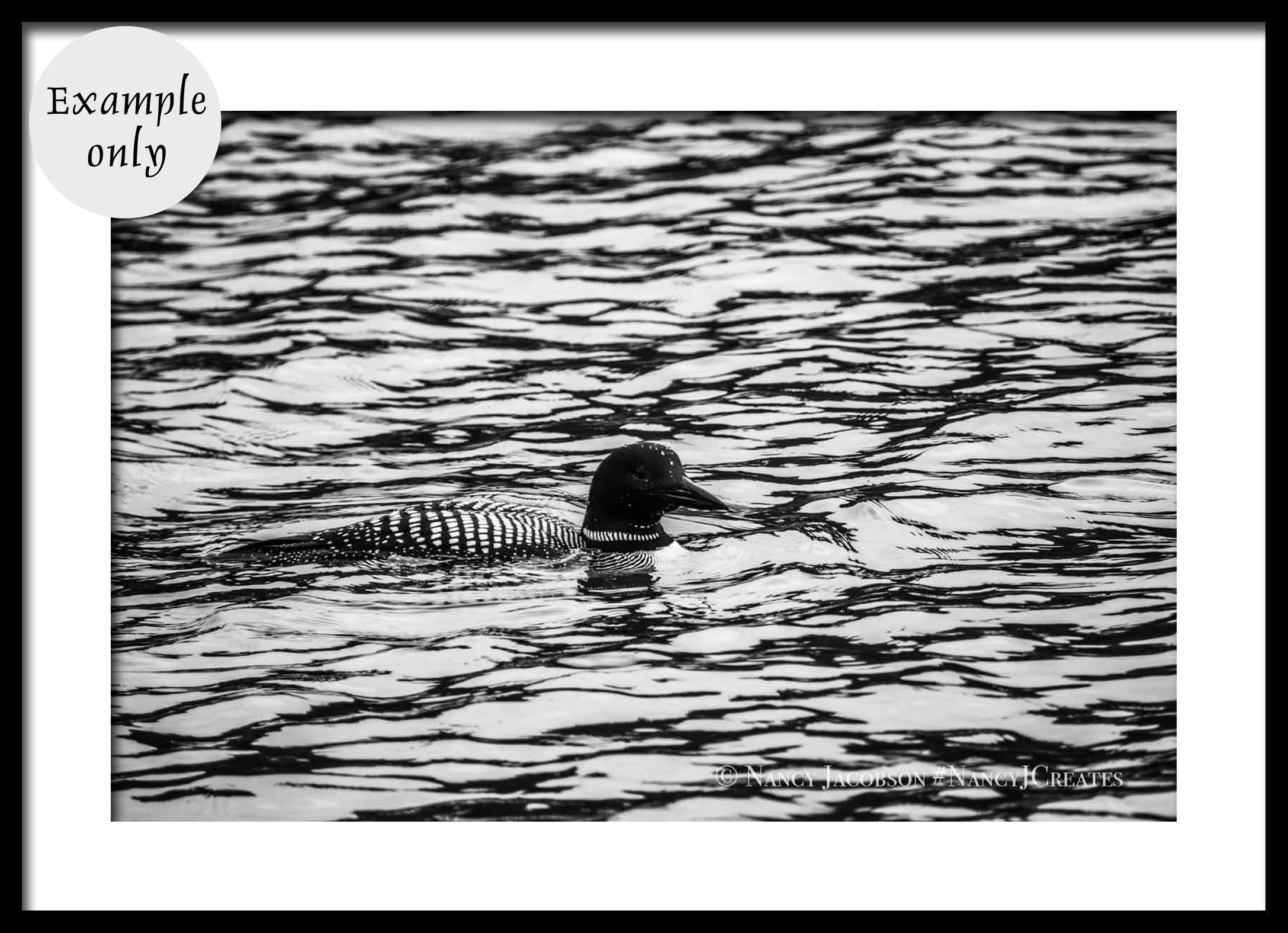 Swimming Loon on Water Bird Photography Unframed Black and White Print Nature Photo Silver Gray Wall Art Monochrome Home Decor