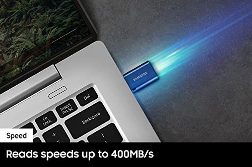 Samsung Type-C™ USB Flash Drive, 128GB, Transfers 4GB Files in 11 Secs w/Up to 400MB/s 3.13 Read Speeds, Compatible w/USB 3.0/2.0, Waterproof, 2022, Blue, MUF-128DA/AM