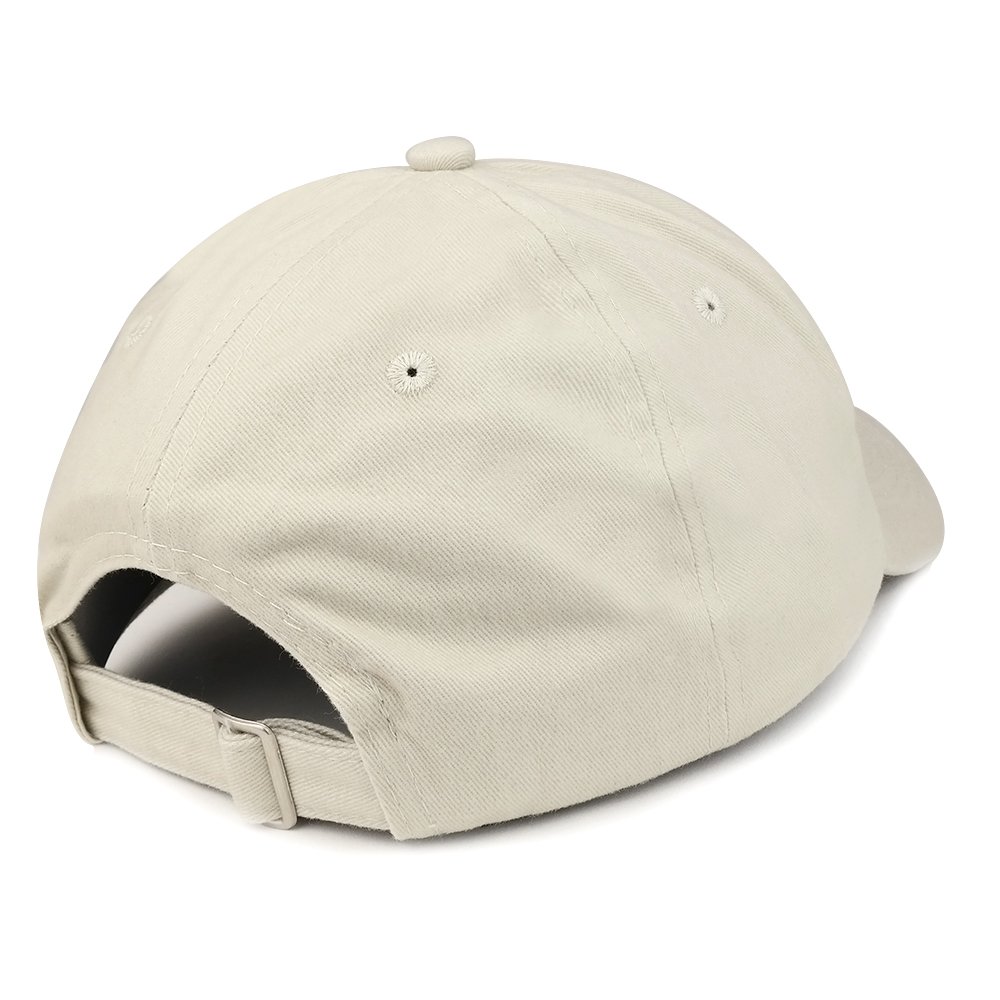 Trendy Apparel Shop Pickleball and Paddle Embroidered Cotton Dad Hat - Stone