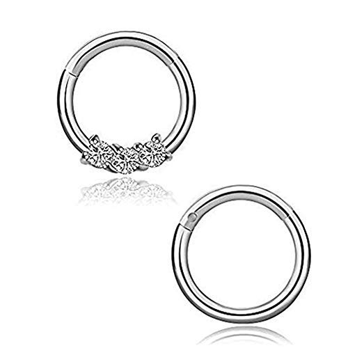 Tinblin 16G 2PCS 316L Stainless Steel Nose Rings Hoop Septum Clicker Ring Cartilage Tragus Piercing 8MM (silver)