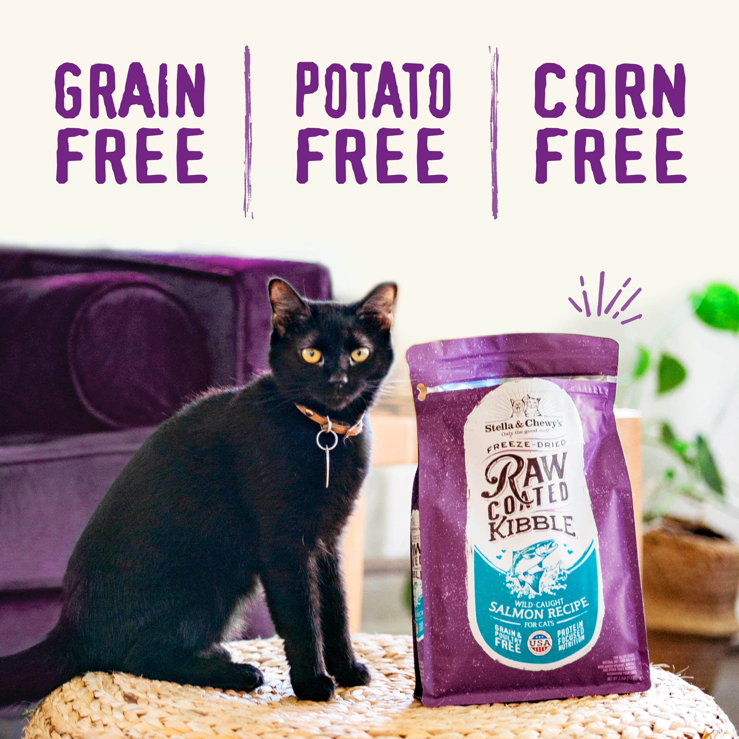 Stella & Chewy's Raw Coated Premium Kibble Cat Food – Grain Free, Protein Rich Meals – Cage-Free Duck Recipe – 5 lb. Bag