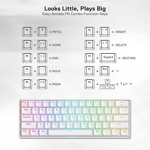 Redragon K530 Pro Draconic 60% Wireless RGB Mechanical Keyboard, BT/2.4Ghz/Wired 3-Mode 61 Keys Compact Gaming Keyboard w/Hot-Swap Socket, Free-Mod Plate Mounted PCB & Clicky Blue Switch