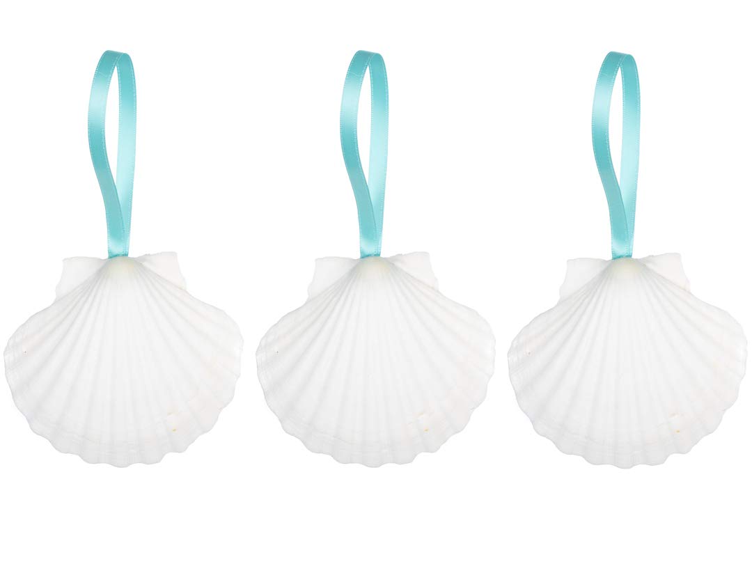 Shell Ornaments | White Seashell Christmas Ornaments for Tree | Hanging Shells w/Turquoise Ribbon | Plus Free Nautical eBook by Joseph Rains (Irish Deep 3 Pack)