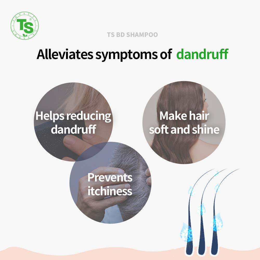 TS BD Shampoo for Dandruff & Itchy Scalp (16.9 Fl Oz) | Treatment for Itchy and Dry Hair | Biotin & Natural Ingredients | Dandruff Shampoo