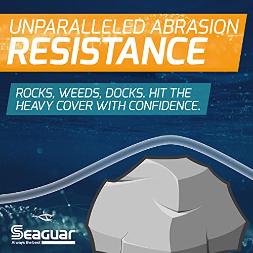Seaguar 10AX200 Abrazx Freshwater Fluorocarbon Line, .010" Diameter, 10 Lb Tested, 200 yd, Clear