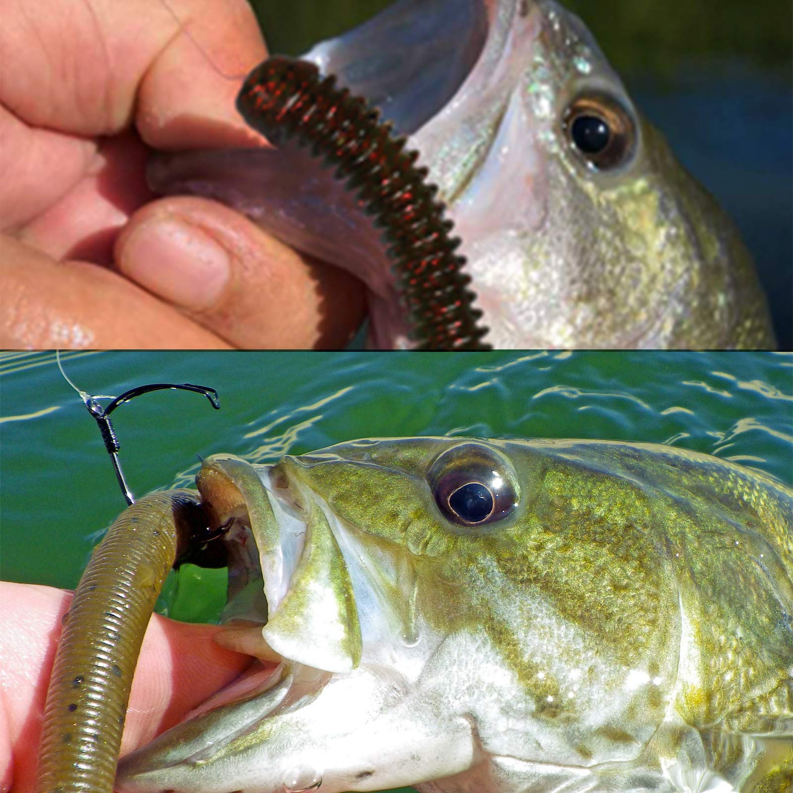 Wacky Rig Worm Hooks Fishing Tool Kit β Wacky Worms, Wacky O-Rings, Wacky Rig Tool, Wacky Weedless Hooks Soft Stick Bait Fishing Lures Hooks Kit