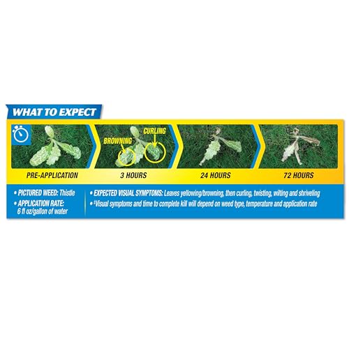Spectracide Weed Stop For Lawns3