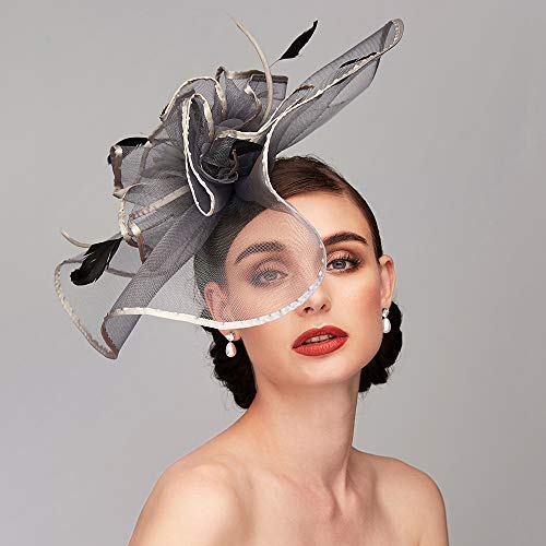 TS Fascinators Hat with Mesh Feather Hair Clip Tea Party for Wedding Cocktail Party or Special Occasion(Coffee)
