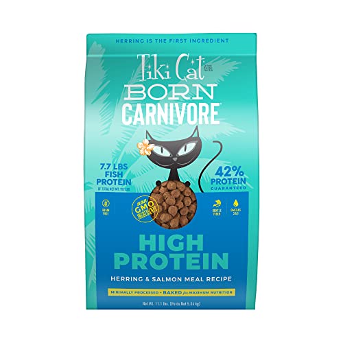 Tiki Cat Born Carnivore High Protein, Herring & Salmon Meal, Grain-Free Baked Kibble to Maximize Nutrients, Dry Cat Food, 11.1 lbs. Bag
