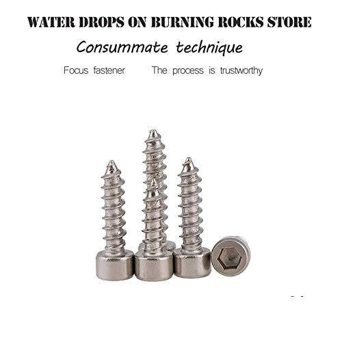 Screw 20pcs M512/14/16/20/25/30/35/40 Stainless Steel 304 hex Socket Cap Head self Tapping Screw - (Size: M5, Length: 30mm)