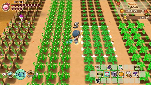 Story of Seasons: Friends of Mineral Town - Nintendo Switch