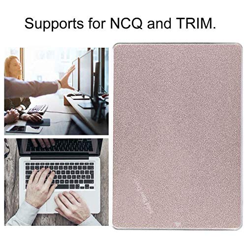Tangxi SATA III 6Gb/s 2.5 Inch Internal Solid State Drive 60G/120G/240G/360G/480G/1TB Supports for NCQ and Trim(240G Gold)