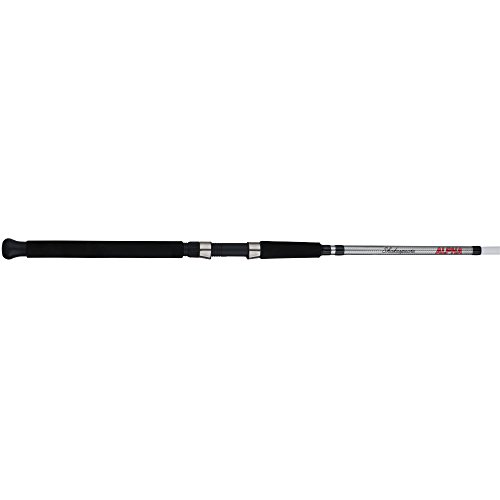 Shakespeare Alpha Bigwater 12' Spinning Rod, 2-Piece Fishing Rod, Tubular Glass Rod Blank, Medium Heavy Rod Power, Comfortable EVA Type B Handle, Graphite Reel Seat