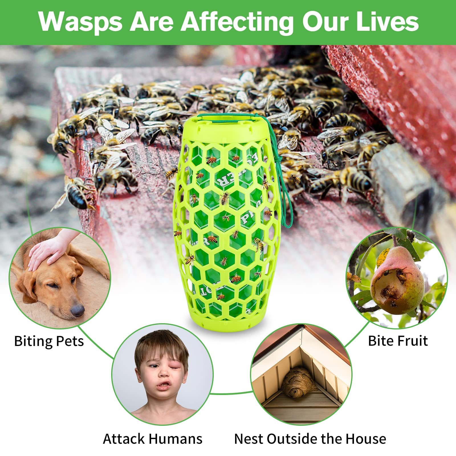 Wasp Trap Bee Traps Catcher,Wasp Traps Outdoor Hanging,Wasp Deterrent Killer,Wasp Catcher with 4 Sticky Bug Boards,Non-Toxic and Reusable Hornet Trap Yellow Jacket Trap for Garden,Yard,Farm (2 Pack)