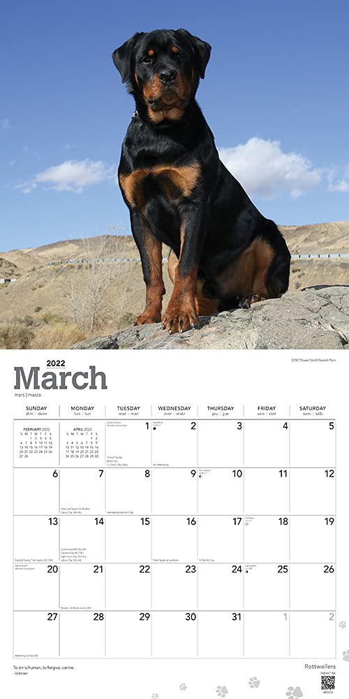 Rottweilers 2022 12 x 12 Inch Monthly Square Wall Calendar, Animals Dog Breeds DogDays