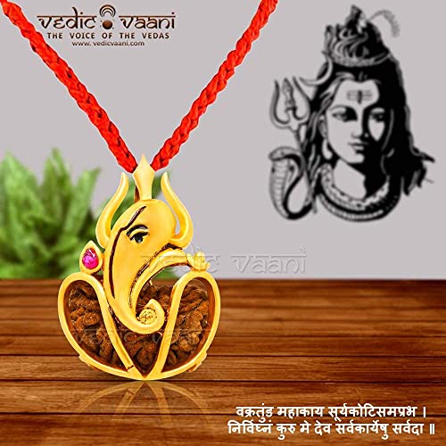 Vedic Vaani Certified 1-14 Mukhi Siddhi Java Rudraksha Bracelet | 1-Face Ek Mukhi Ganesha Vighnaharta Rudraksh Locket (Pack of 2)