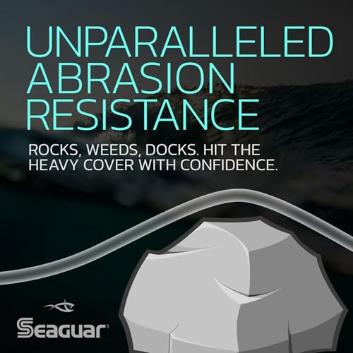 Seaguar Red Label 100% Fluorocarbon Fishing Line 20lbs, 175yds, Clear - 20RM175