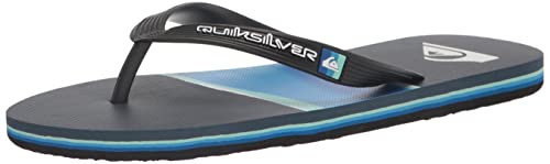 Quiksilver Men's Molokai Airbrushed 3 Point Flip Flop Sandal, Blue 1, 12