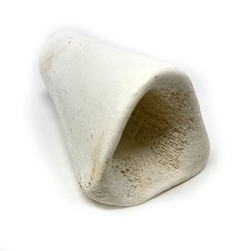 T. Forrest White Hollow Empty Dog Bones 6" (7 Pack) Natural Grass Fed Made in UK