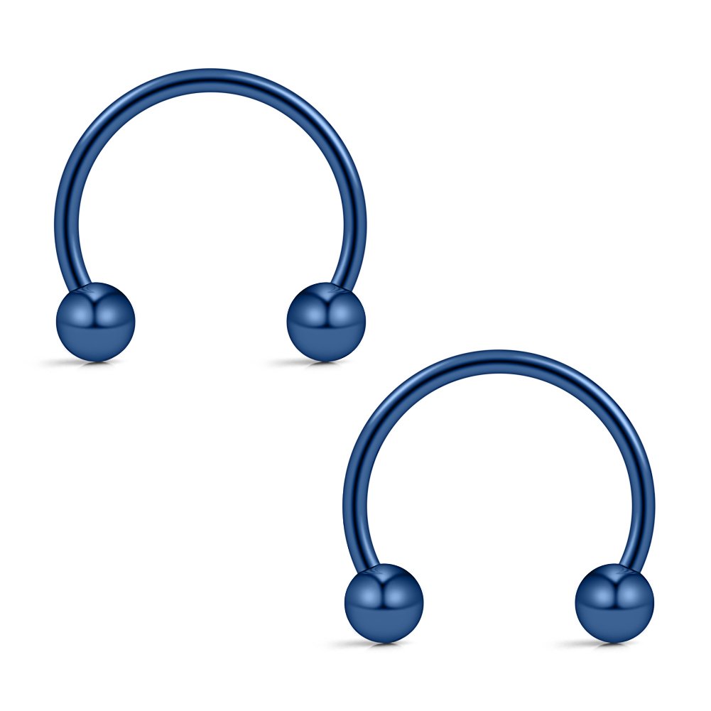 Ruifan 316L Surgical Steel CBR Horseshoe Circular Rings Nose Eyebrow Tragus Lip Ear Hoop Ring Piercing 20G 10MM 12PCS (Mix Color)
