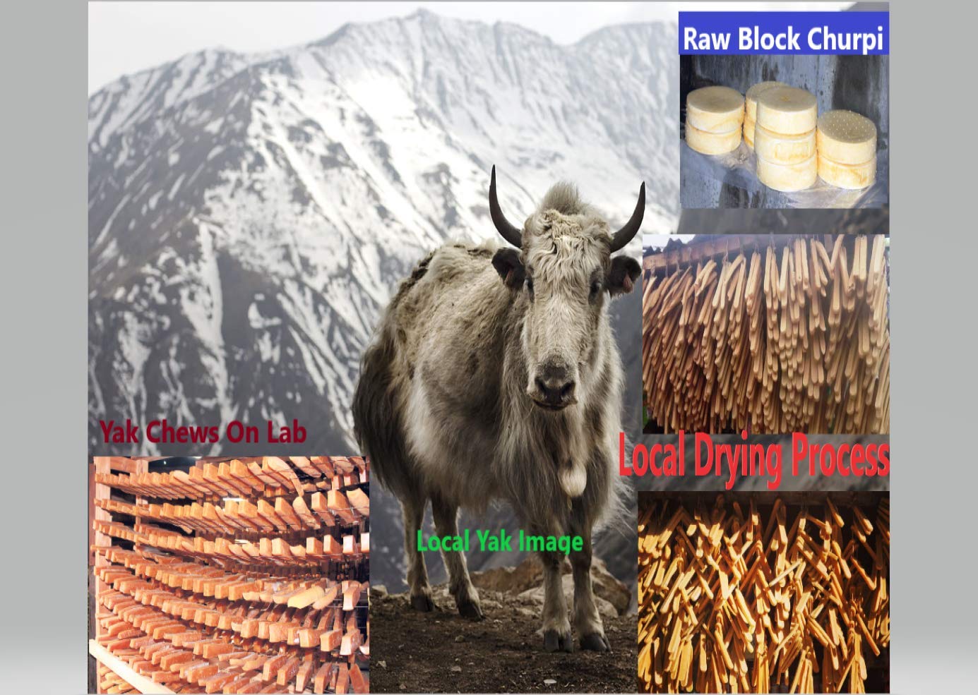 Snow Hill Yak Cheese Dog Chews 12-14 Pcs Pinky Finger Size Nuggets - Himalayan Golden Yak Cheese Finger Snacks Best for Small Small Pups of Himalayas, Nepal