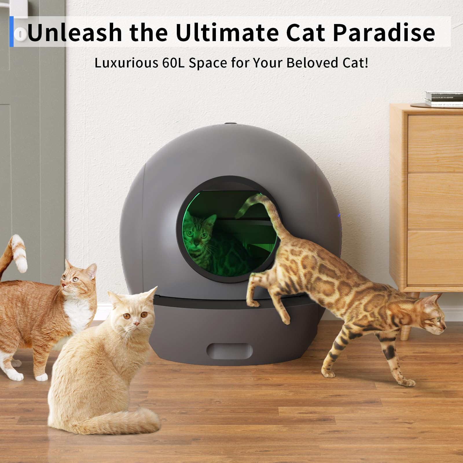 Self Cleaning Cat Litter Box: ELS PET Hands-Off 60L Extra Large Cat Litter Box, Odor Eliminating Smart Litter Box with APP Control, 2.4Ghz WiFi Only, Automatic Cat Litter Box for Multiple Cats