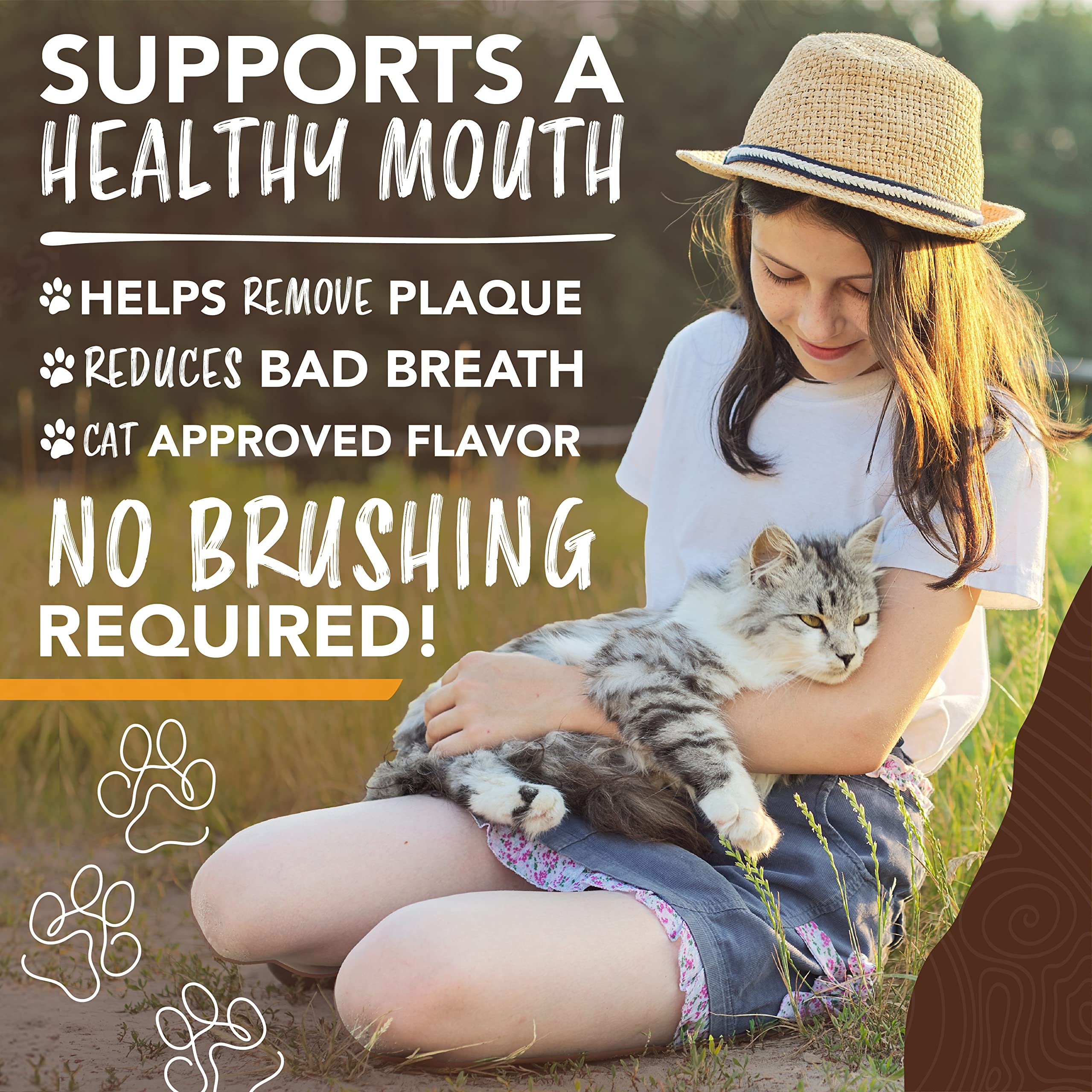 TropiClean Enticers Cat Teeth Cleaning Treat Gel | Honey Chicken Flavored Cat Toothpaste Alternative | 2 oz