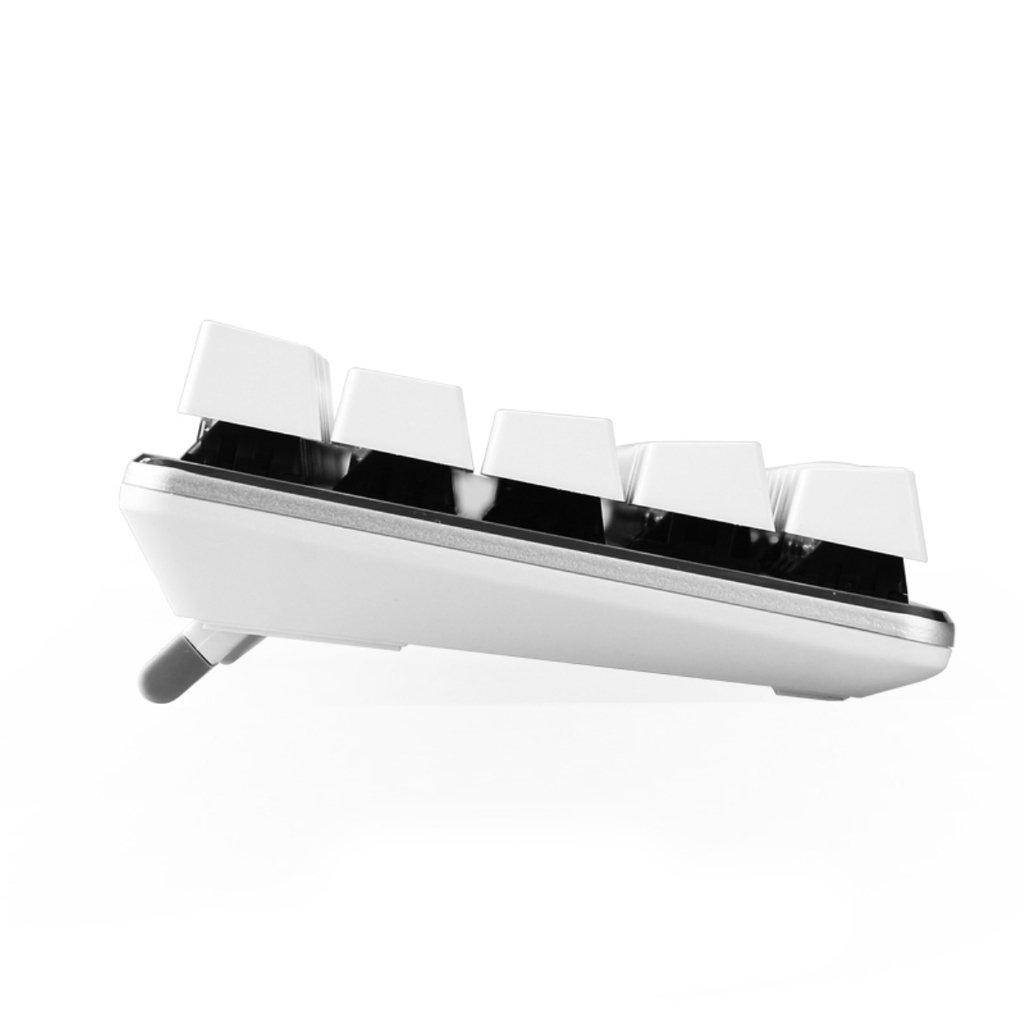 Qisan Gaming Keyboard Mechanical Wired Keyboard Cherry MX Brown Switch Backlight Keyboard 68-Keys Mini Design White