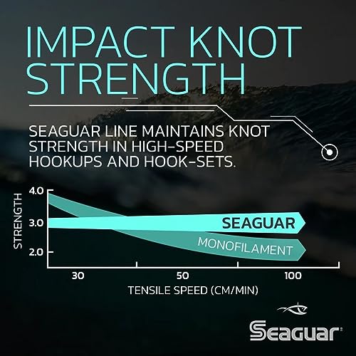 Seaguar Blue Label 100% Flourocarbon Fishing Line (DSF), 20lbs, 25yds Break Strength/Length - 20FC25