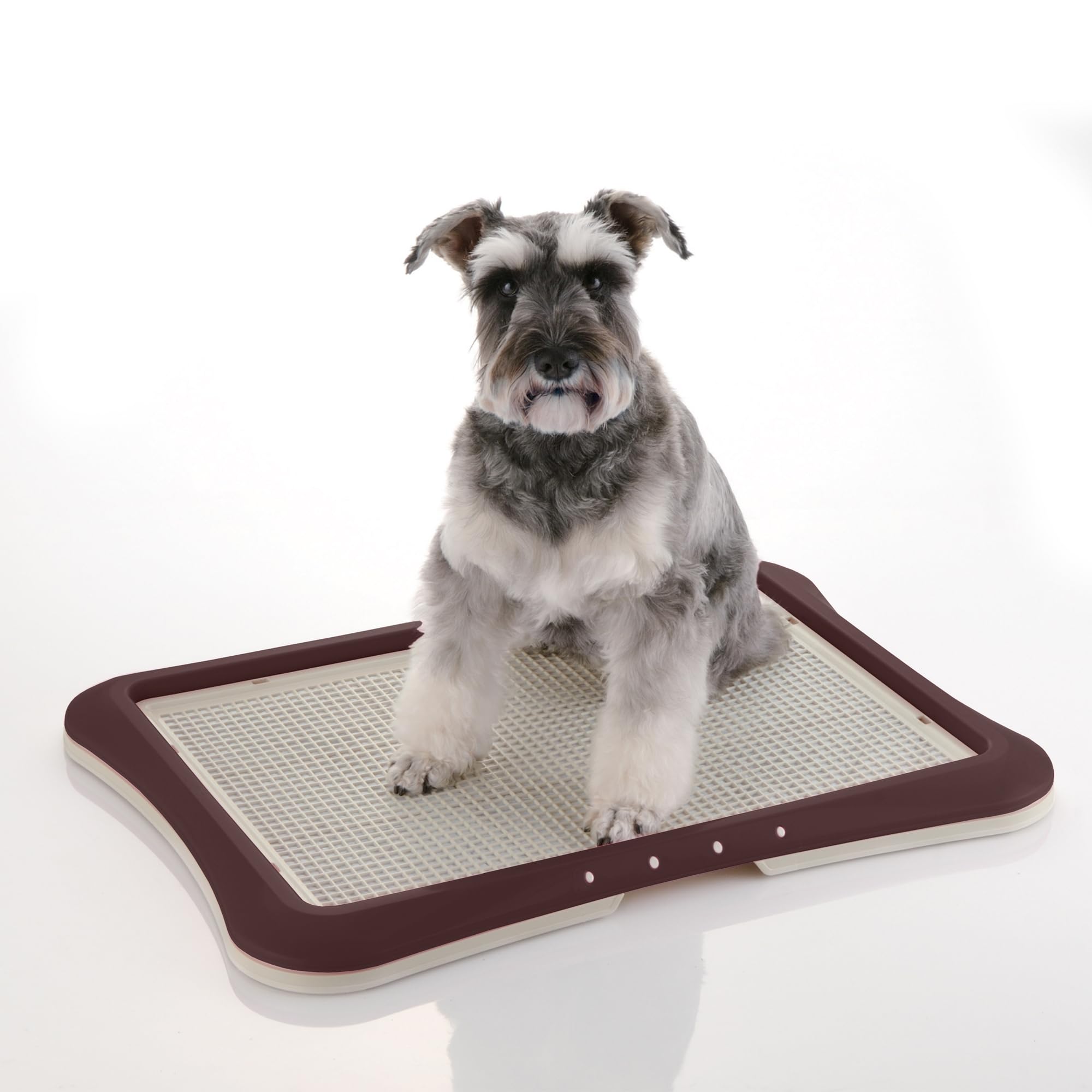 Richell Paw Trax Mesh Training Tray, Brown 25.2 x 18.9 x 1.6" | Richell Paw Trax Mesh Training Tray: Puppy Potty Pad Holder for Indoor Use, Anti-Chewing and Tearing, Ideal for Potty Training Puppies