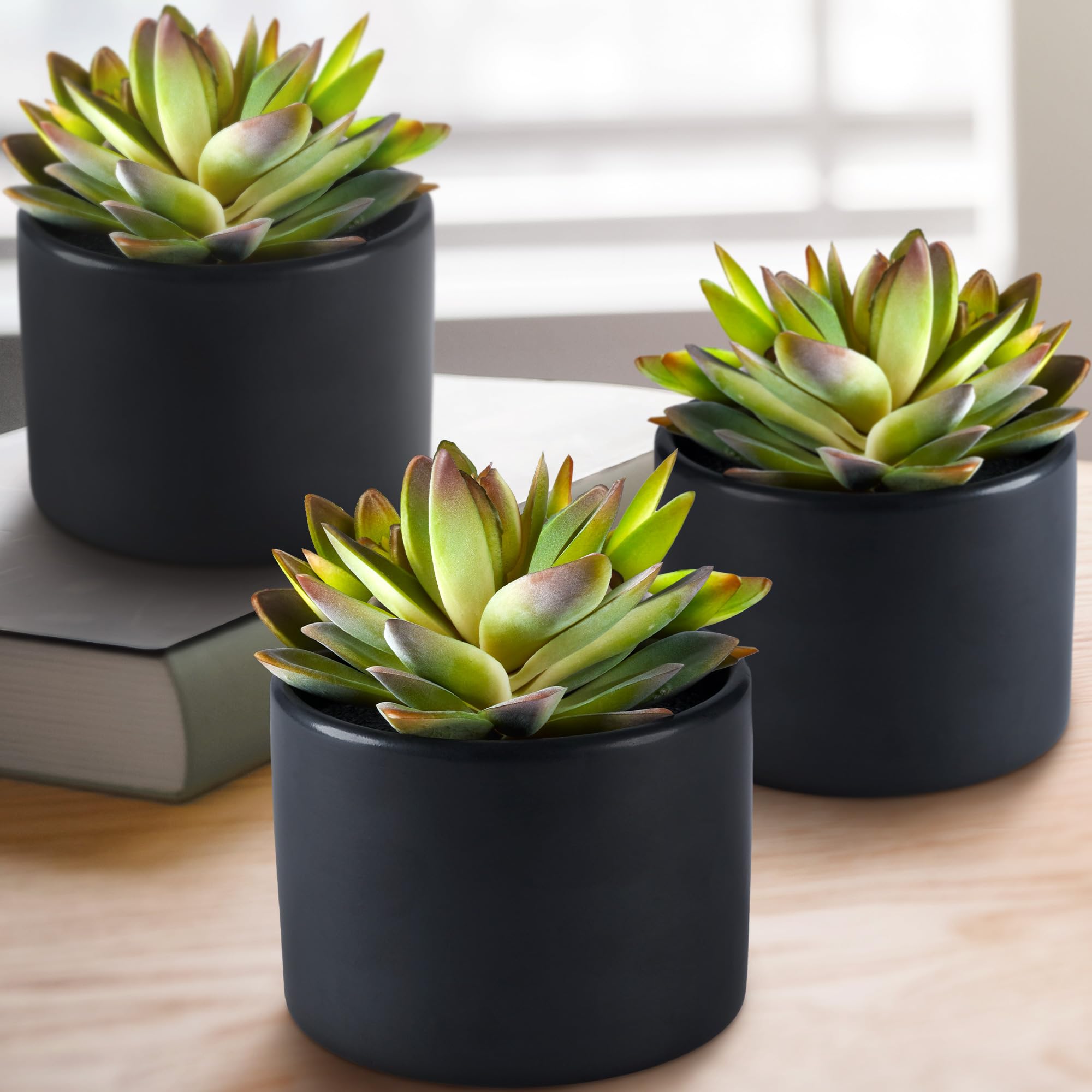 SEEKO Succulents Artificial Succulent Plants in Ceramic Pots (3 Pack) Faux Potted Plant Décor, Black Bathroom Décor, Home Décor Gifts, Small Fake Desk Plant for Home Office, Kitchen or Book Shelf