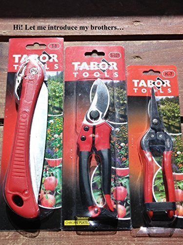 TABOR TOOLS K77A Straight Pruning Shears with Stainless Steel Blades, Florist Scissors, Multi-Tasking Garden Snips for Arranging Flowers, Trimming Plants, Harvesting Herbs, Fruits or Vegetables.
