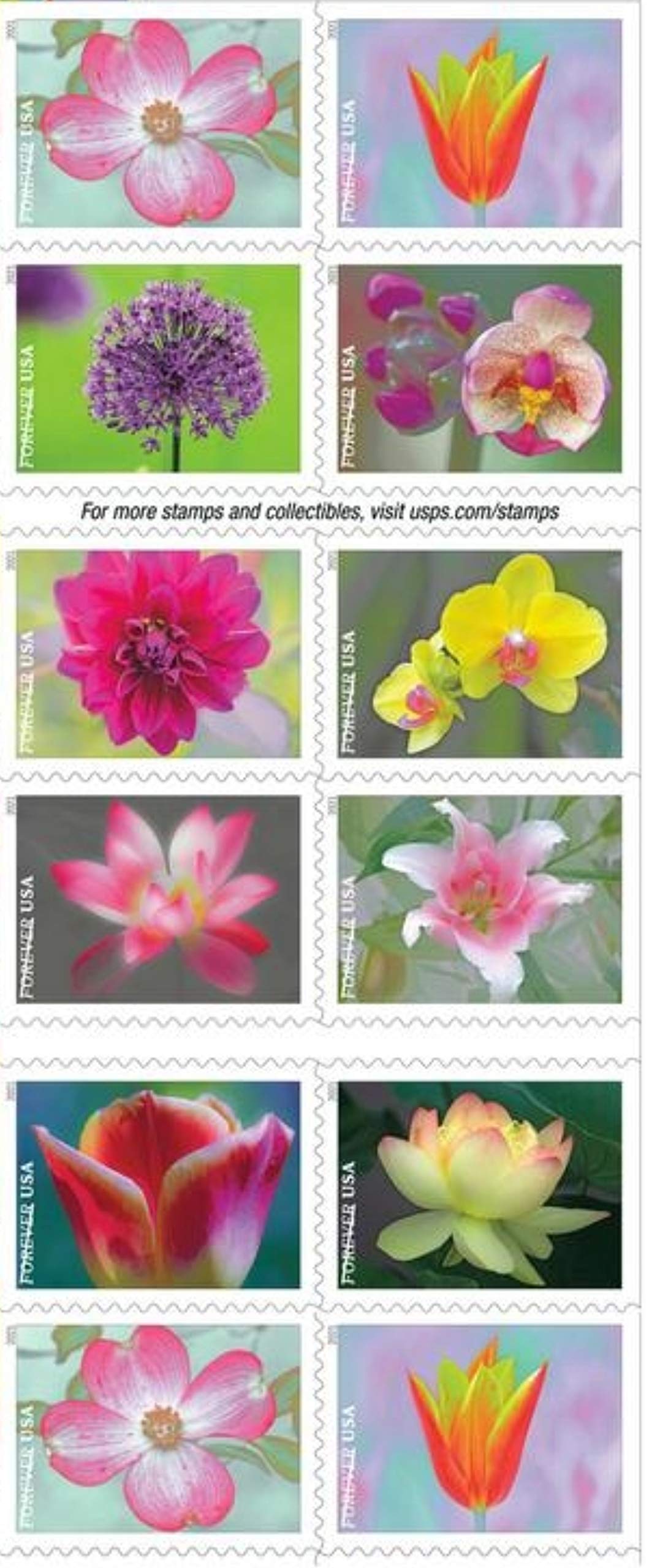 USPS Garden Beauty Forever Postage Stamps Book of 20 self-stick First Class Wedding Celebration Anniversary Flower Party (20 Stamps)