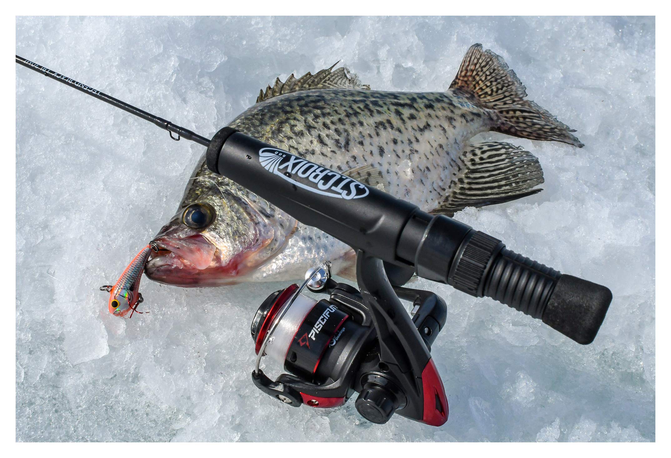 St. Croix Rods Legend Black Ice Fishing Rod, 24 Inch