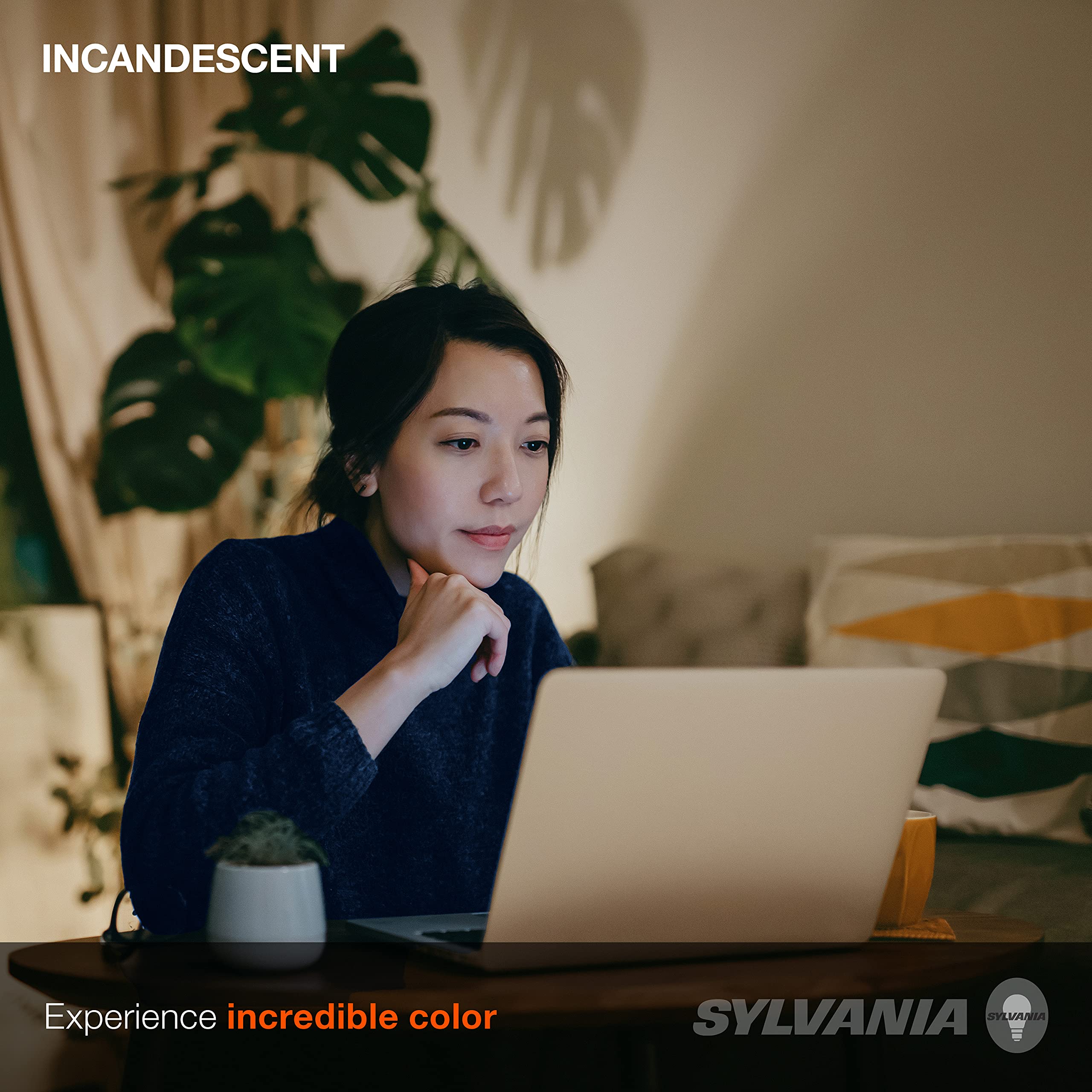 SYLVANIA Incandescent Double Life 3-Way A21 Bulb, 50/100/150W, 500/1350/1850 Lumens, Medium Base, 2850K, Soft White - 2 Pack (18167)