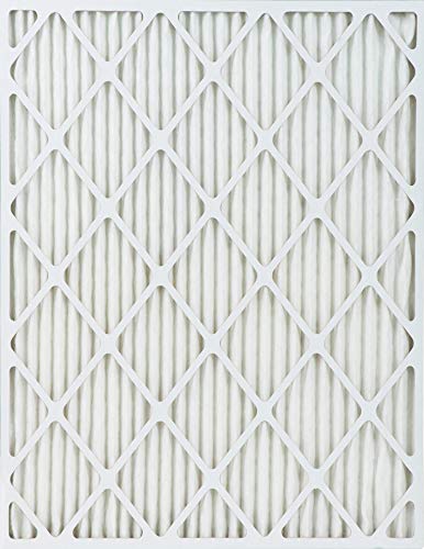 True Blue Allergen Protection 16x25x1 Air Filter, MERV 11, 4-Pack