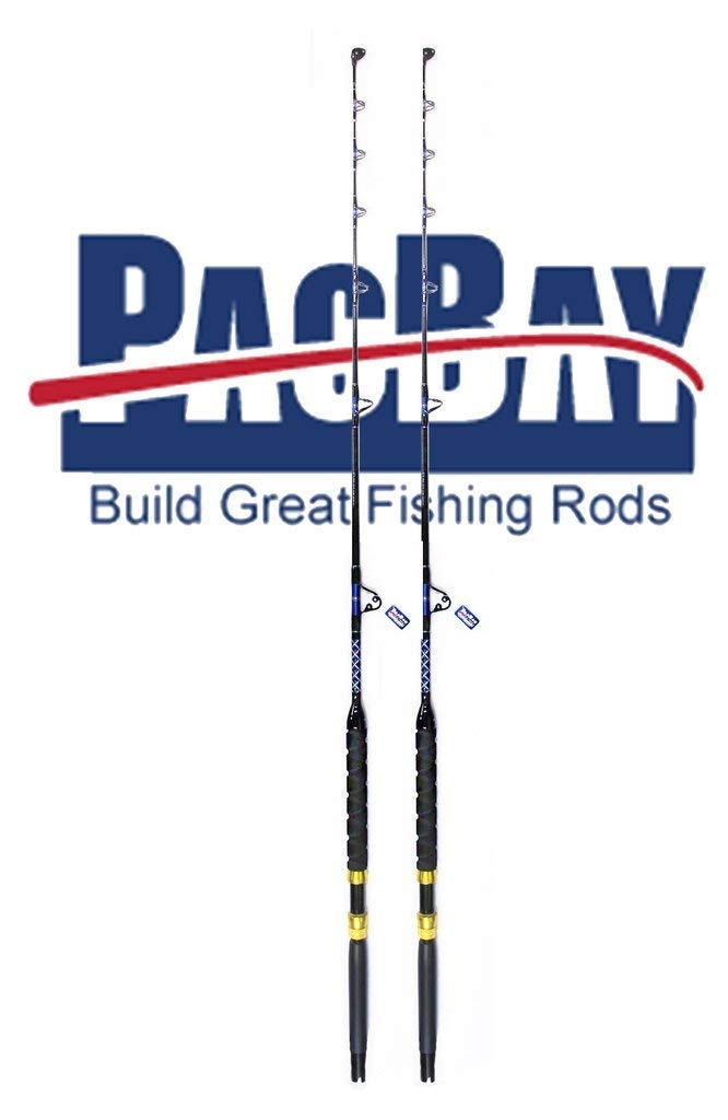 Xcaliber Marine Pair of (2) Inshore Series 6' 20-40 lb Saltwater Boat RODS (Blue and Silver)