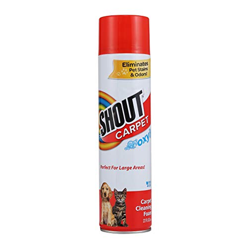 Shout Aerosol Odor Foaming Spray with OXY Power | Completely Removes Tough Urine Stains & Prevents Remarking | for Large Areas Carpet Cleaner, 22 oz - 2 Pack, red, 44 Fl Oz